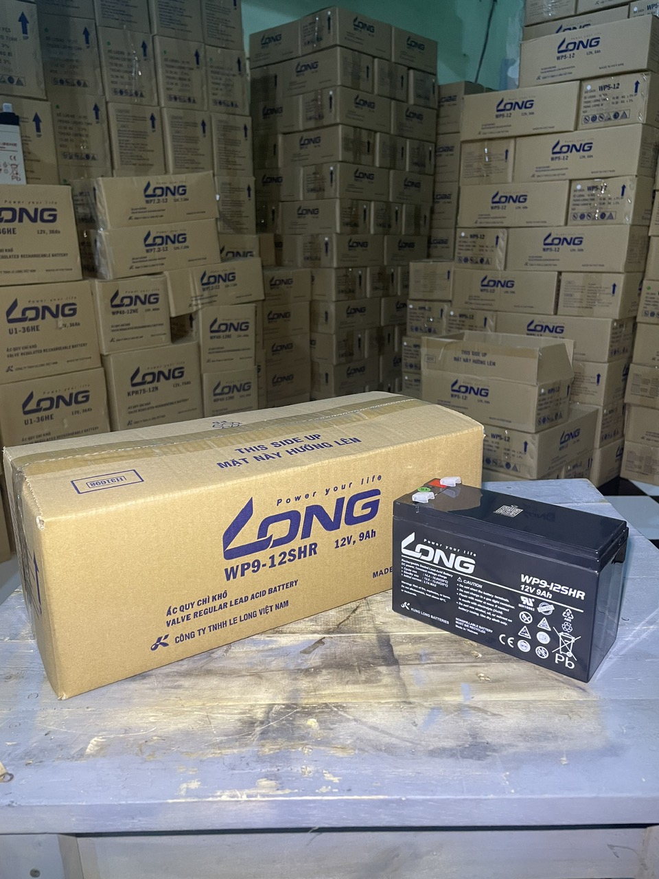 ẮC QUY KÍN KHÍ (VRLA AGM) LONG 12V-9Ah (20HR), WP9-12SHR, F2 - MINH HUY @ www.luudien.vn